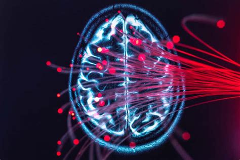 Neuroscientists Are Ignoring The Differences Between Males And Females New Scientist