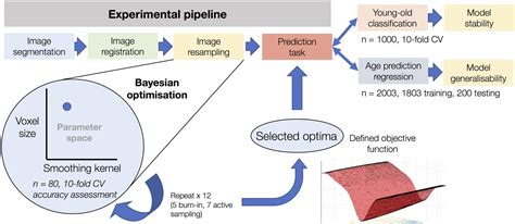 Frontiers Bayesian Optimization For Neuroimaging Pre Processing In