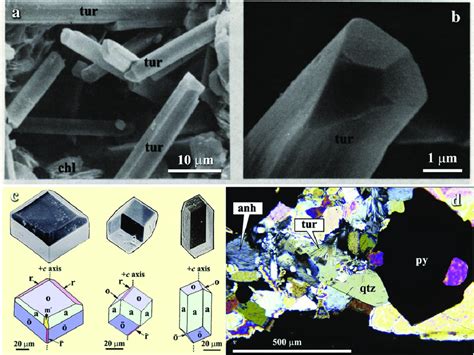 An Array Of Authigenic Tourmaline From Geologic Settings In Which