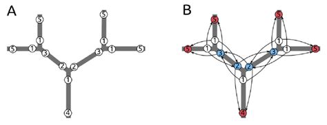 An Example Of Unrooted Tree Labeling A The Labels On A Five Leaf