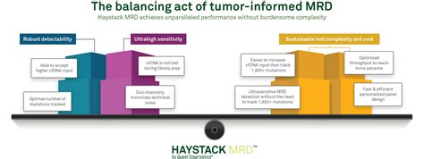 Dna Input And Number Of Mutations Tracked A Balancing Act Haystack Mrd™