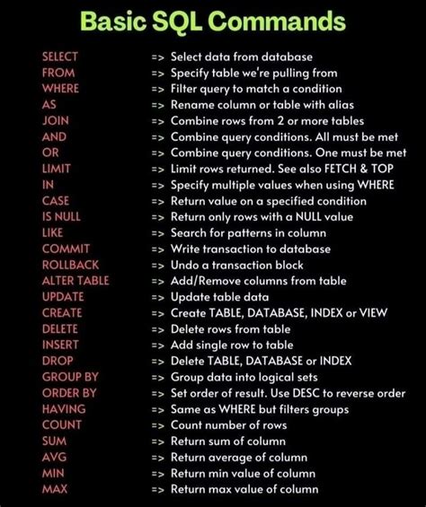 🗃️ Basic Sql Commands The Ultimate Beginner Guide Deepa Sajjanshetty
