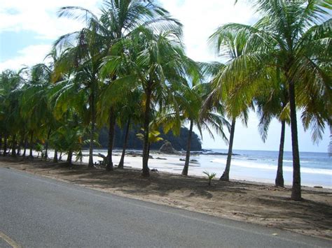 Playa Carrillo Costa Rica Guía De La Ciudad Go Visit Costa Rica