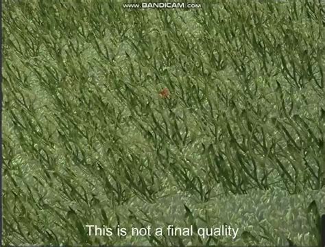 🎯 First Map Of The Game In Gamedev 🎯 Tushar Jain Posted On The Topic Linkedin