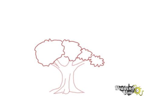 How To Draw A Realistic Tree Step By Step Easy