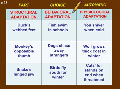 Adaptation Types Powerpointppt