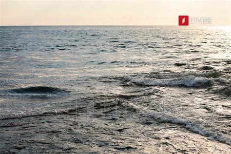 გარემოს ეროვნული სააგენტო 26 30 ივლისის მონიტორინგის შედეგების მიხედვით შავი ზღვის წყლის