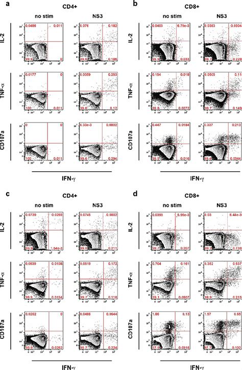Denv Infection Induces Multifunctional Cd4 And Cd8 Cellular Download Scientific Diagram