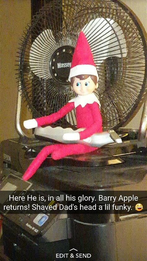 Shaved Dads Head Funky Holiday Decor Apple