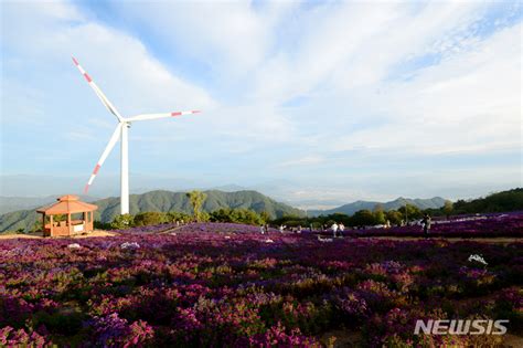 아름다운 거창 감악산