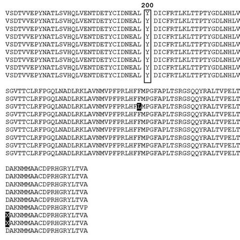 Alignment Of The Partial β Tubulin Isotype 3 Amino Acid Sequence With