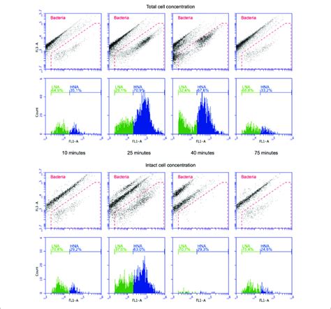 Density Plots And Histograms For Tcc Sg Staining Top And Icc Sg Download Scientific