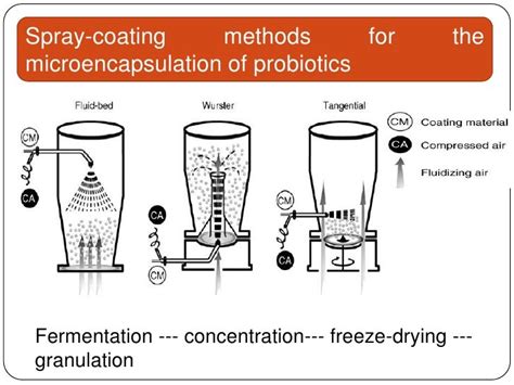 Microencapsulation By Manoj
