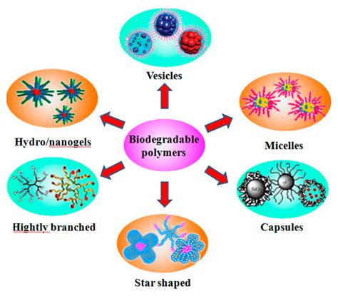Biodegradable Polymeric Architectures Via Reversible Deactivation Radical Polymerizations