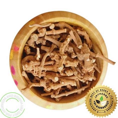 Pipla Mool Piper Longum Root 40 Kg At Rs 400 Kg In New Delhi Id 2851242898797