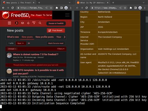 Solved Cant Connect To Openvpn The Freebsd Forums