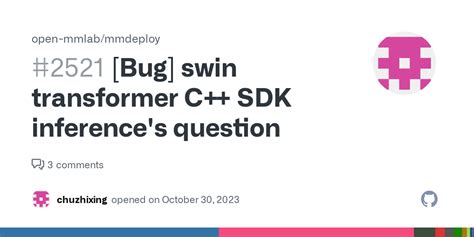 Bug Swin Transformer C Sdk Inferences Question · Issue 2521