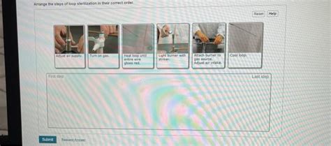 Arrange The Steps Of Loop Sterilization In Their Correct Order Kyson