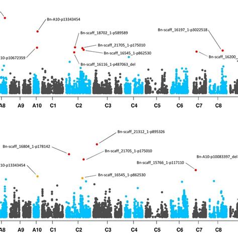 Manhattan And Quantile Quantile Plots For End‐point Vegetative Biomass