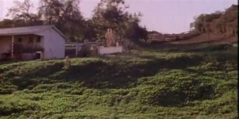 Playboy Wet Wild Iv Tnaflix Com