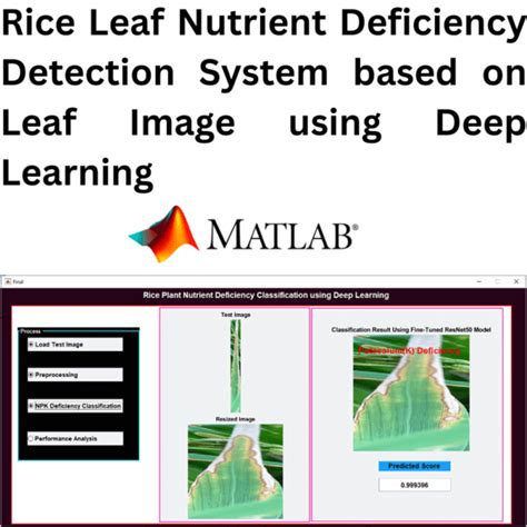 Rice Leaf Nutrient Deficiency Detection System Based On Leaf Image Using Deep Learning