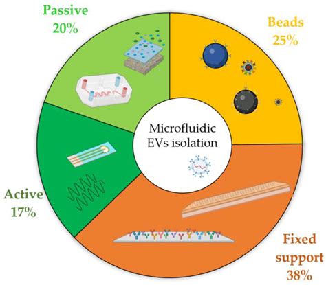 Microfluidic Strategies For Extracellular Vesicle Isolation Towards Clinical Applications