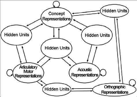 Connectionist Model Modified To Incorporate Pattern Associator Networks Download Scientific