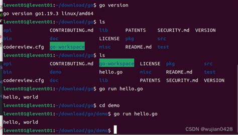 ubantu下node js安装配置 ubuntu nodejs安装及环境配置 csdn博客