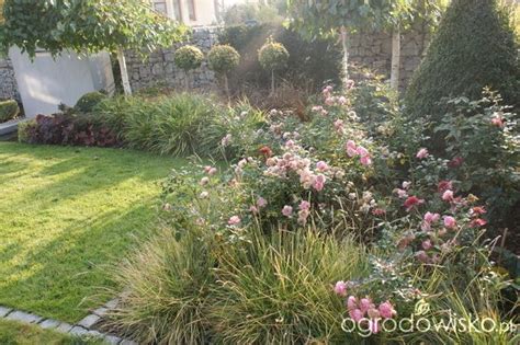 Madżenie ogrodnika cz aktualna