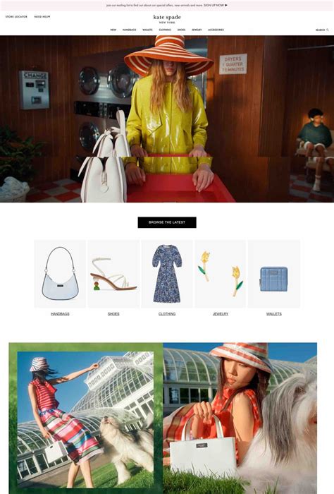 16 Pink Website Design Examples We Love How To Make Your Own