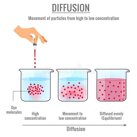 Illustration Depicting The Scientific Phenomenon Of Diffusion Stock Illustration Illustration