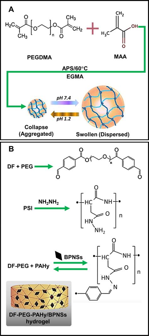 Healthcare Applications Of Ph Sensitive Hydrogel Based Devices A Review Pmc