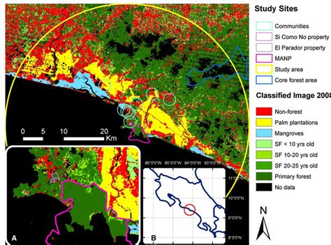 Detailed Forest Classification Map Of The Study Area In The