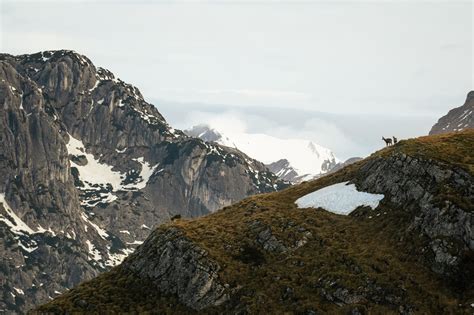 Bionet Меѓународната унија за зачувување на природата Iucn го прифати Косово како најнов член