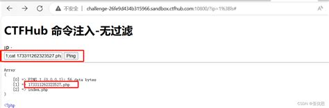 Ctfhub靶场————rce Csdn博客