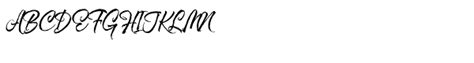 hayne script rough regular font what font is