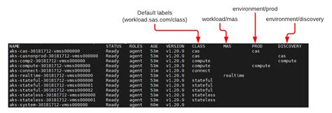 Creating Custom Sas Viya Topologies Part 2 Using Custom Node Pools
