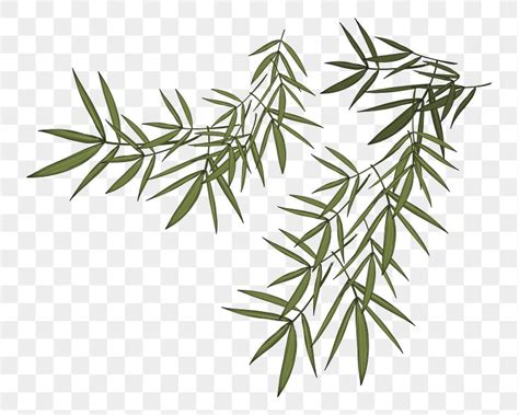 Tree Branch Png Element Transparent Premium PNG Rawpixel