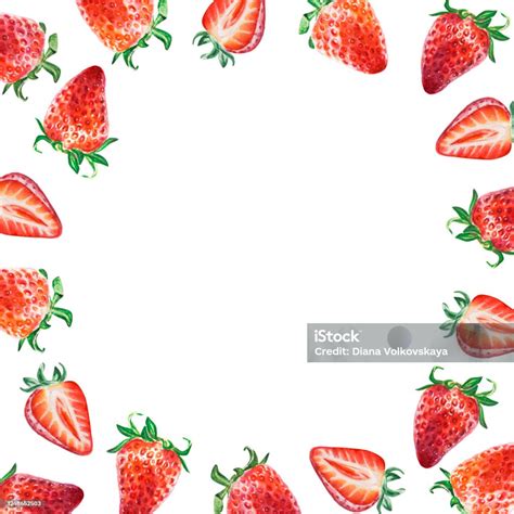 반 베리와 붉은 육즙 딸기의 수채화 테두리 프레임 템플릿 손으로 그린 음식 일러스트레이션 과일 인쇄 0명에 대한 스톡 벡터 아트