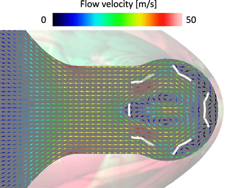 Vector Representation Of Flow Velocity At The Inlet To The Mixer Mass Download Scientific