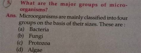 What Are The Major Groups Of Microorganisms Ans Microorganisms Are Main