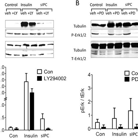 A Western Blot Analysis Demonstrated That Sipc Activated Pi3kakt In