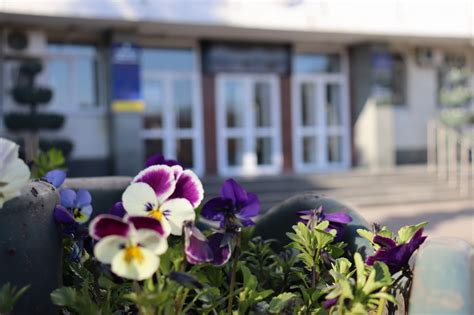 Просвіта ОУН Бориспіль І досі совєцькі надписи не замінені на патріотичні і українські не