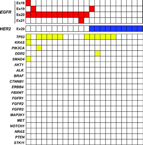Somatic Gene Mutations Detected With An Ngs Panel Covering 22 Genes In