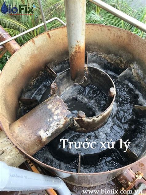 Môi Trường Xanh Enofix Ho Chi Minh City