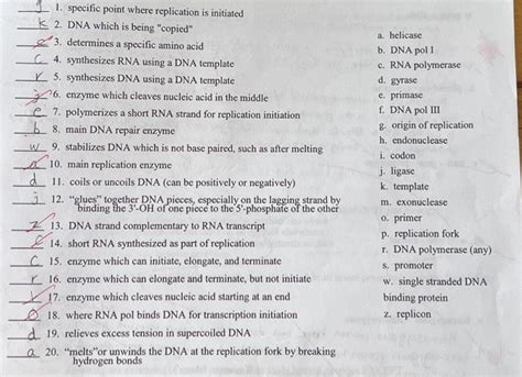 solved 9 1 specific point where replication is initiated 2