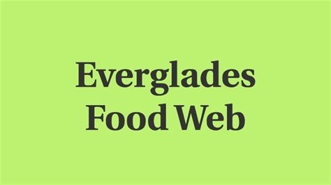 Everglades Food Web By Ella Adeline On Prezi