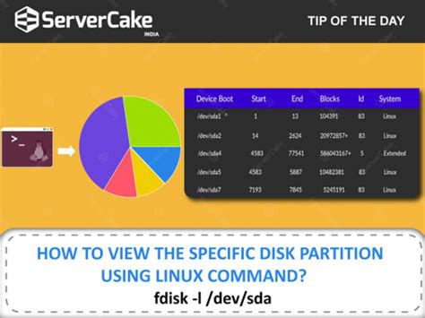 how to view the specific disk partition using linux command servercake
