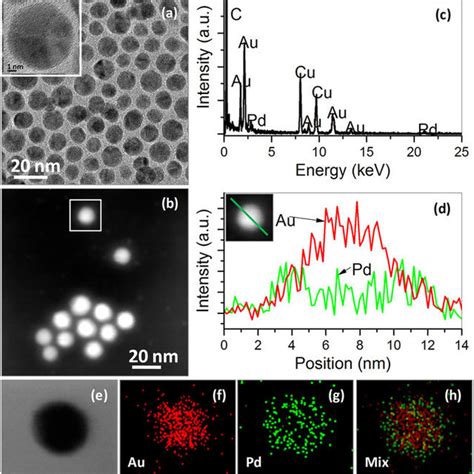 Pdf Core Shell Au Pd Nanoparticles As Cathode Catalysts For Microbial Fuel Cell Applications