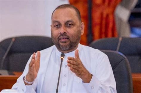 Predatory Mite To Control Coconut Mite Disease Introduced Dailynews